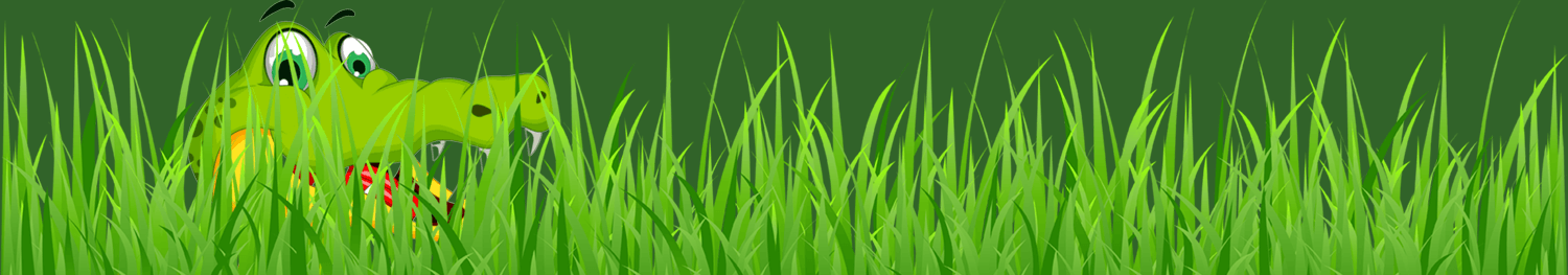 Kids Adventure Park Chester - The Crocky Trail Waverton